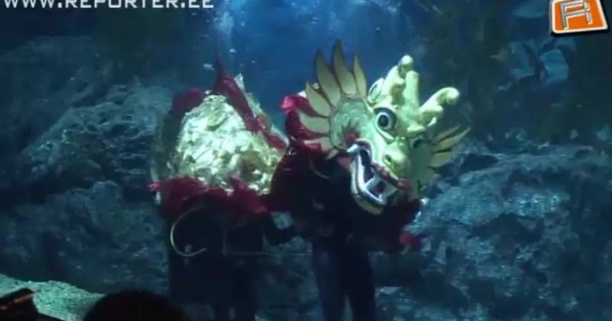 Draakon tantsis uue aasta puhul basseini põhjas