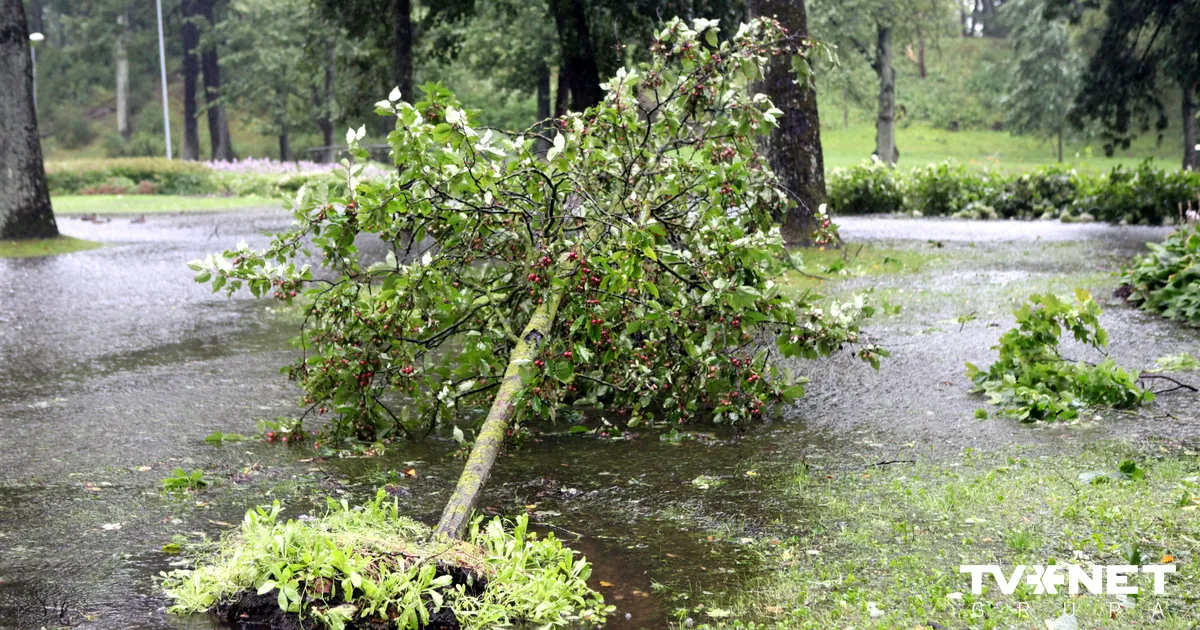 Vētra nodarījusi plašus postījumus; VUGD iesaistās seku likvidēšanā
