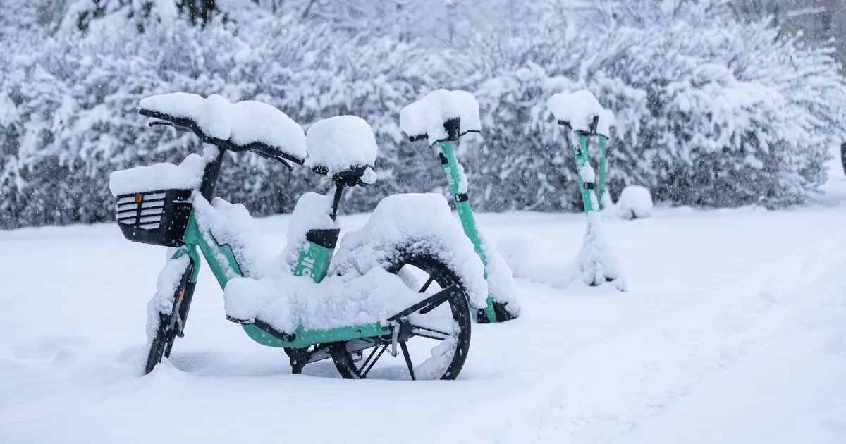 MIKK SALU Valitsus reetis Bolti ja jäi lõpuks ikka lolli näoga