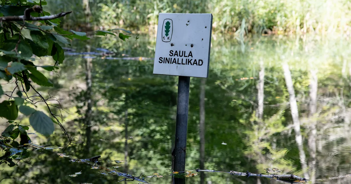 FOTOD Reostunud või mitte? Loodushuvilise sõnul on pühapaigana tuntud ...