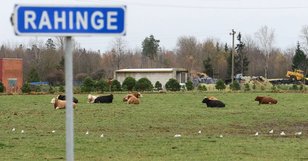 Linn jätkab Tartu–Rahinge–Ilmatsalu kergliiklustee ehitust
