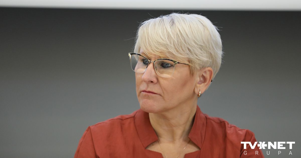 Jaunzeme: Katru reizi, atklājot korupciju, finanšu ministra reakcija ir ...