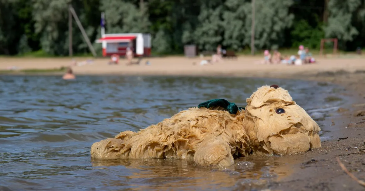 Randades varitsevad suplejaid sinivetikad ja muud parasiidid