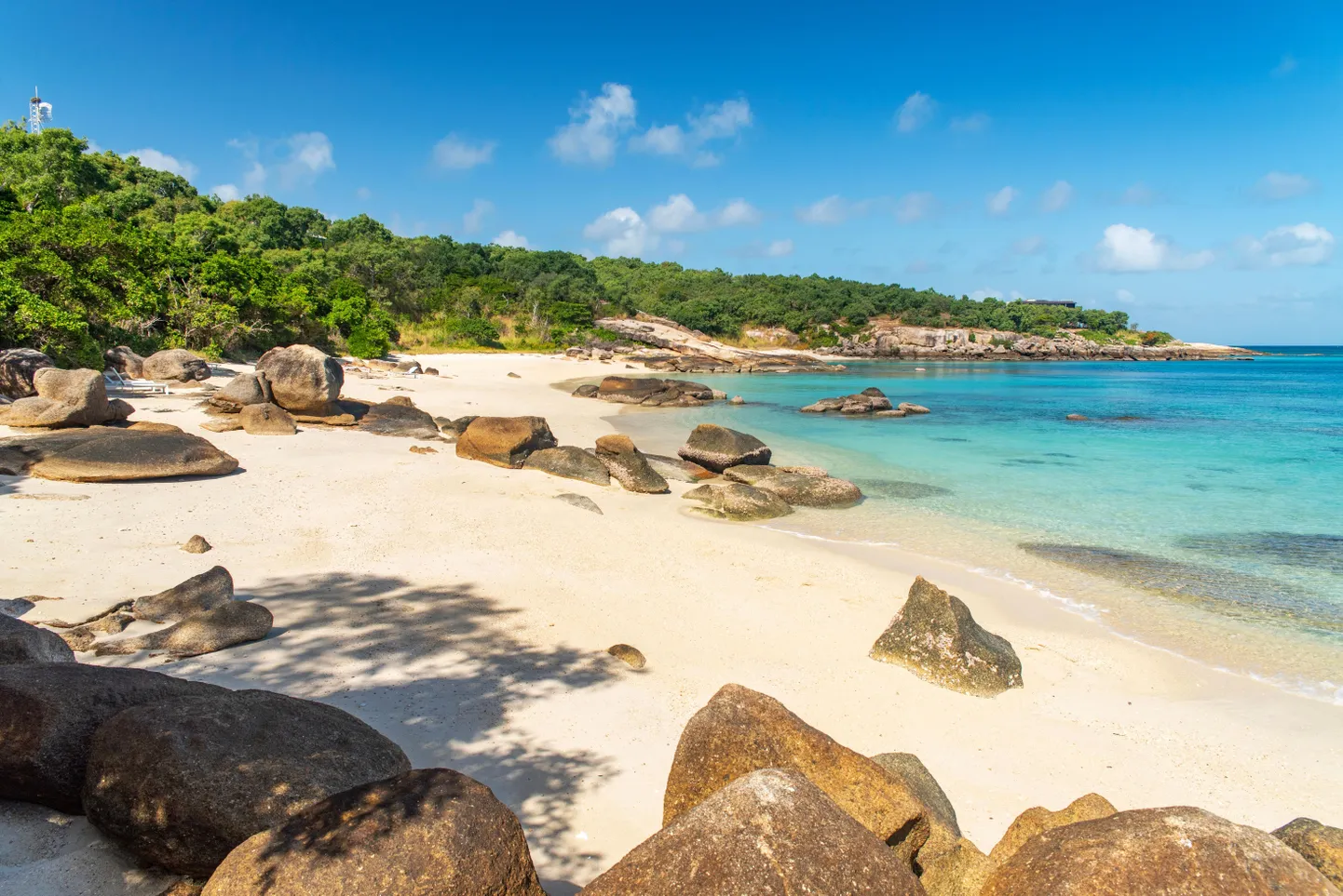 «Eirati tervet mõistust.» 80-aastane naine suri, kuna kruiisifirma ...