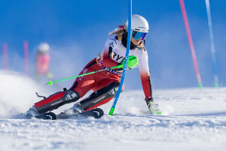 นามิและโรบิน