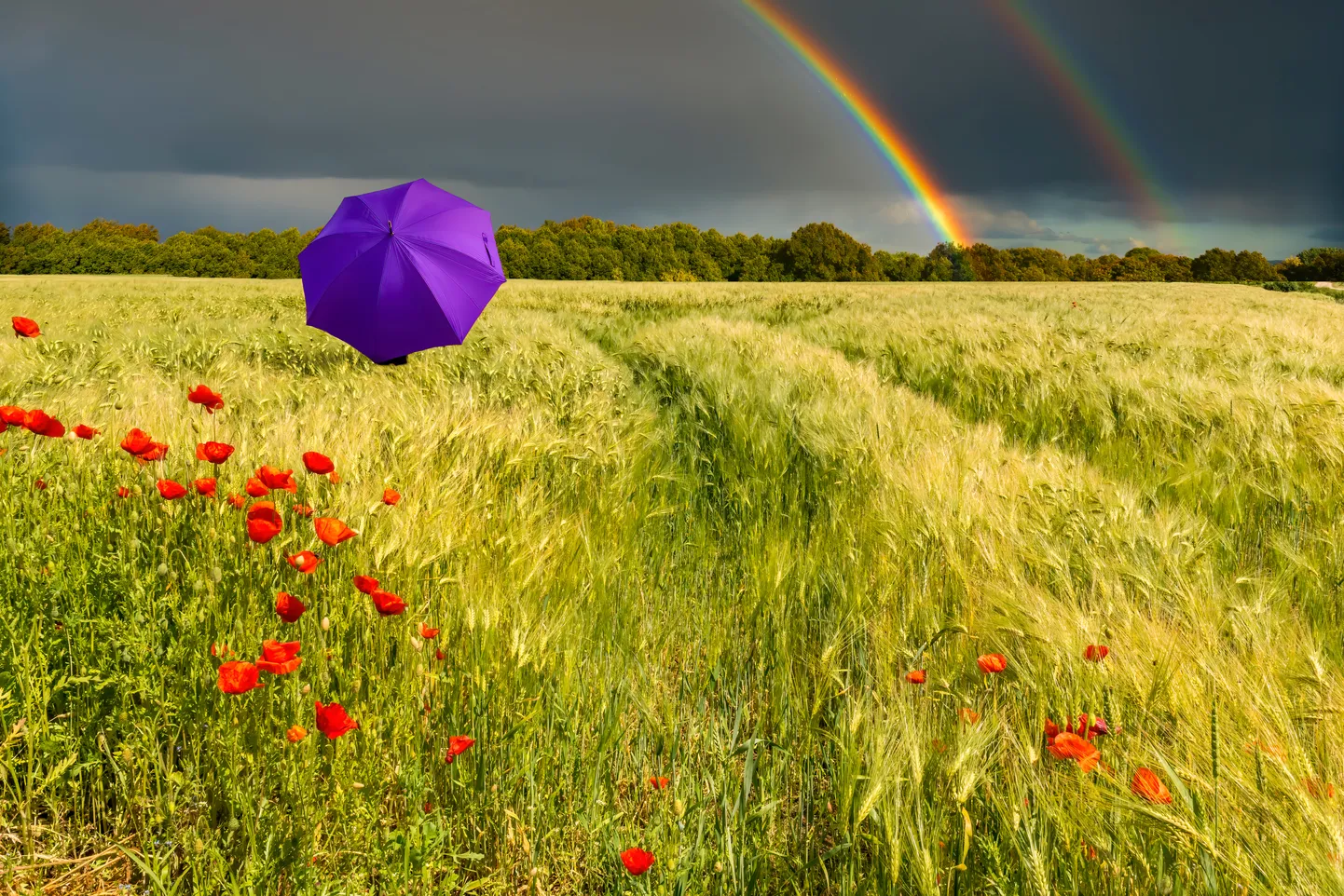 Latvijā izsludināti brīdinājumi par stipru lietu un pērkona negaisu