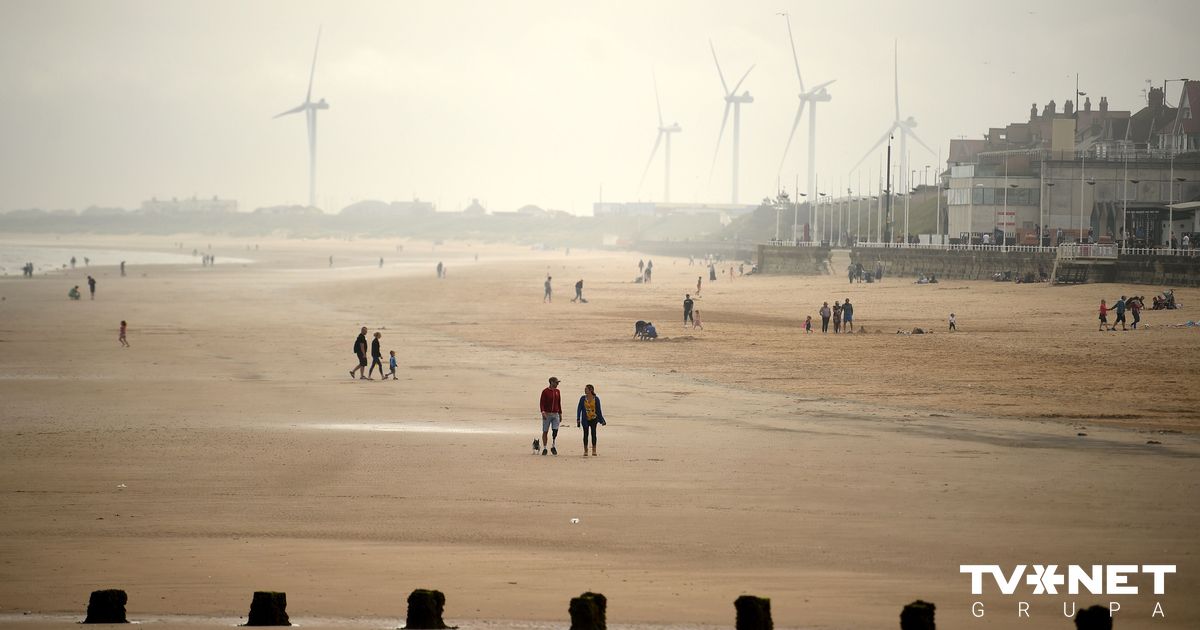 VIDEO Anglijas krastā atrasts totēma stabs, uz kura lietuviešu valodā ...