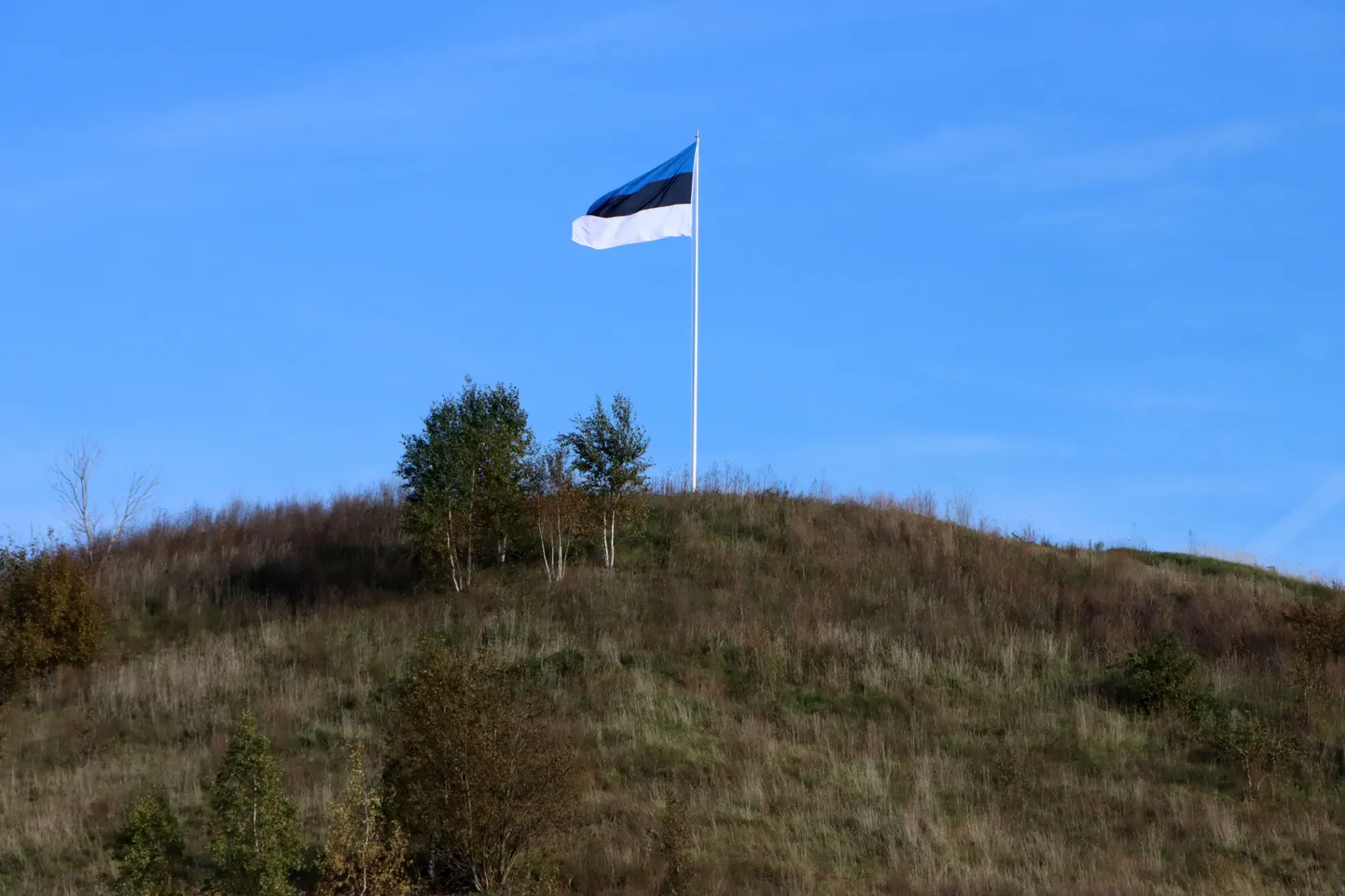 Kukruse mäele heisatud lipu valgustusega tekkisid viperused