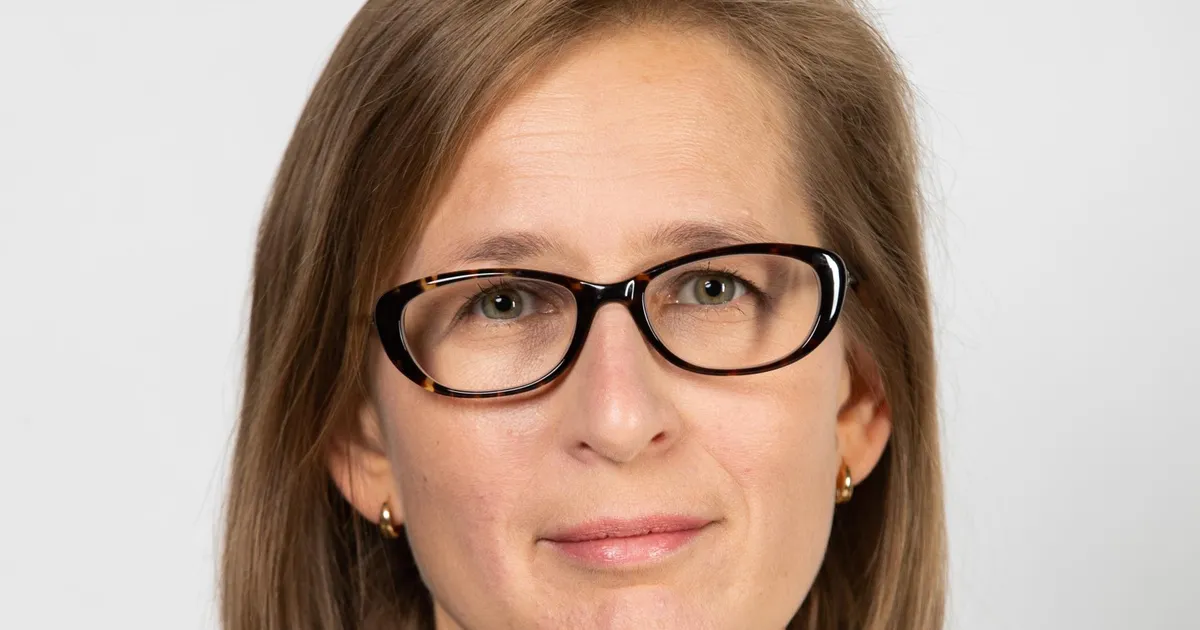 Lea Danilson-Järg: nõusoleku puudumine olgu kuritegu