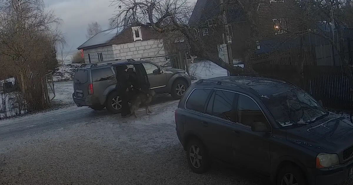 PTA pole koera omanikult äravõtmiseks kellelegi luba andnud