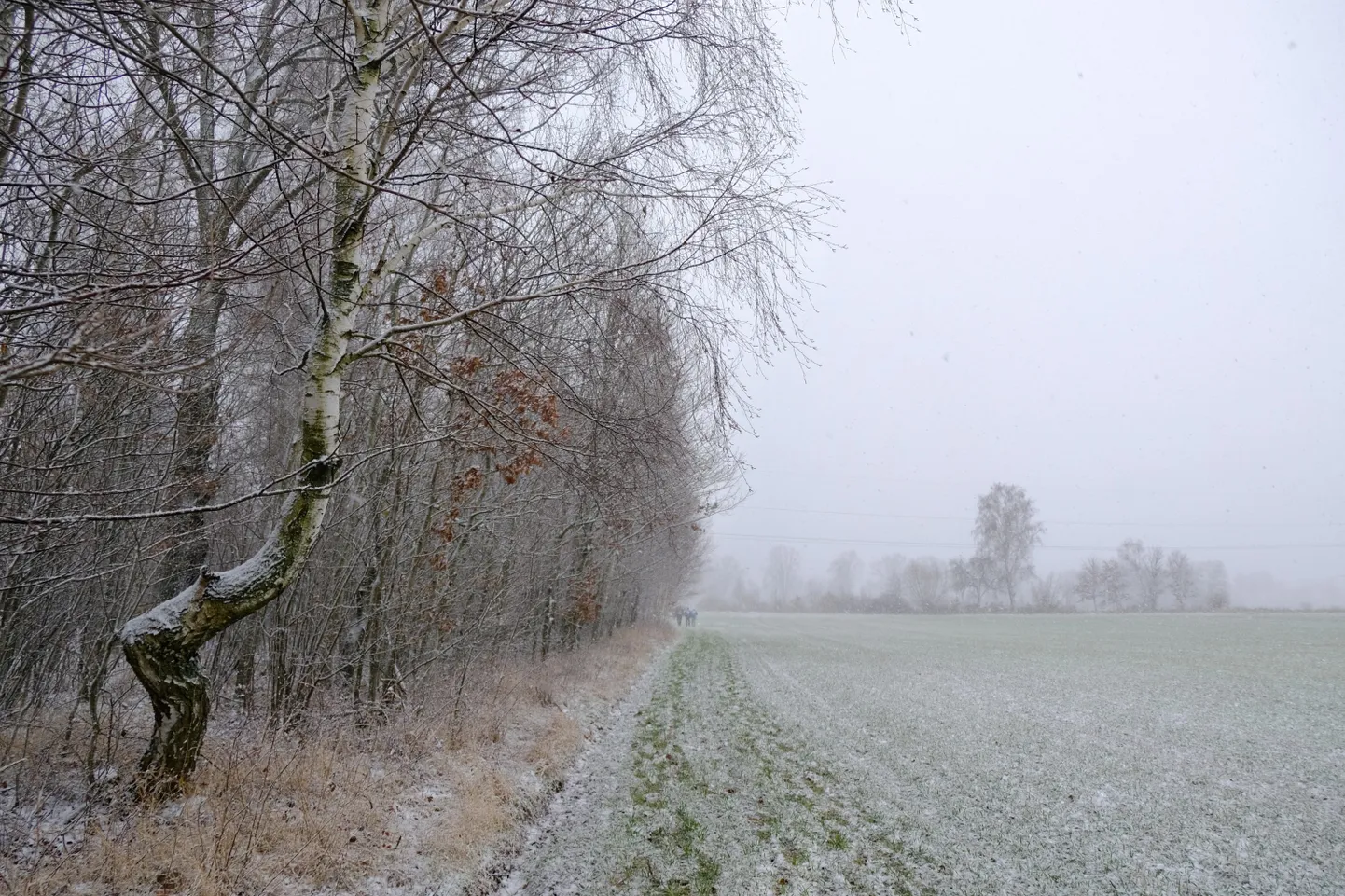 Sestdien debesis virs Latvijas būs pārsvarā mākoņainas