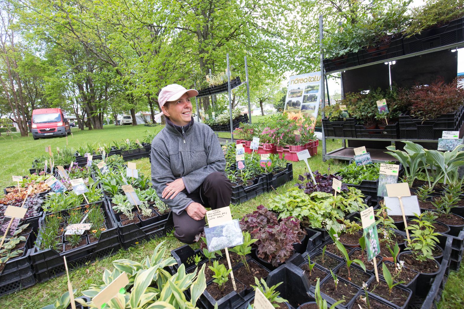 TÜRI Viljandimaa tippaednikud löövad laineid lillelaadal