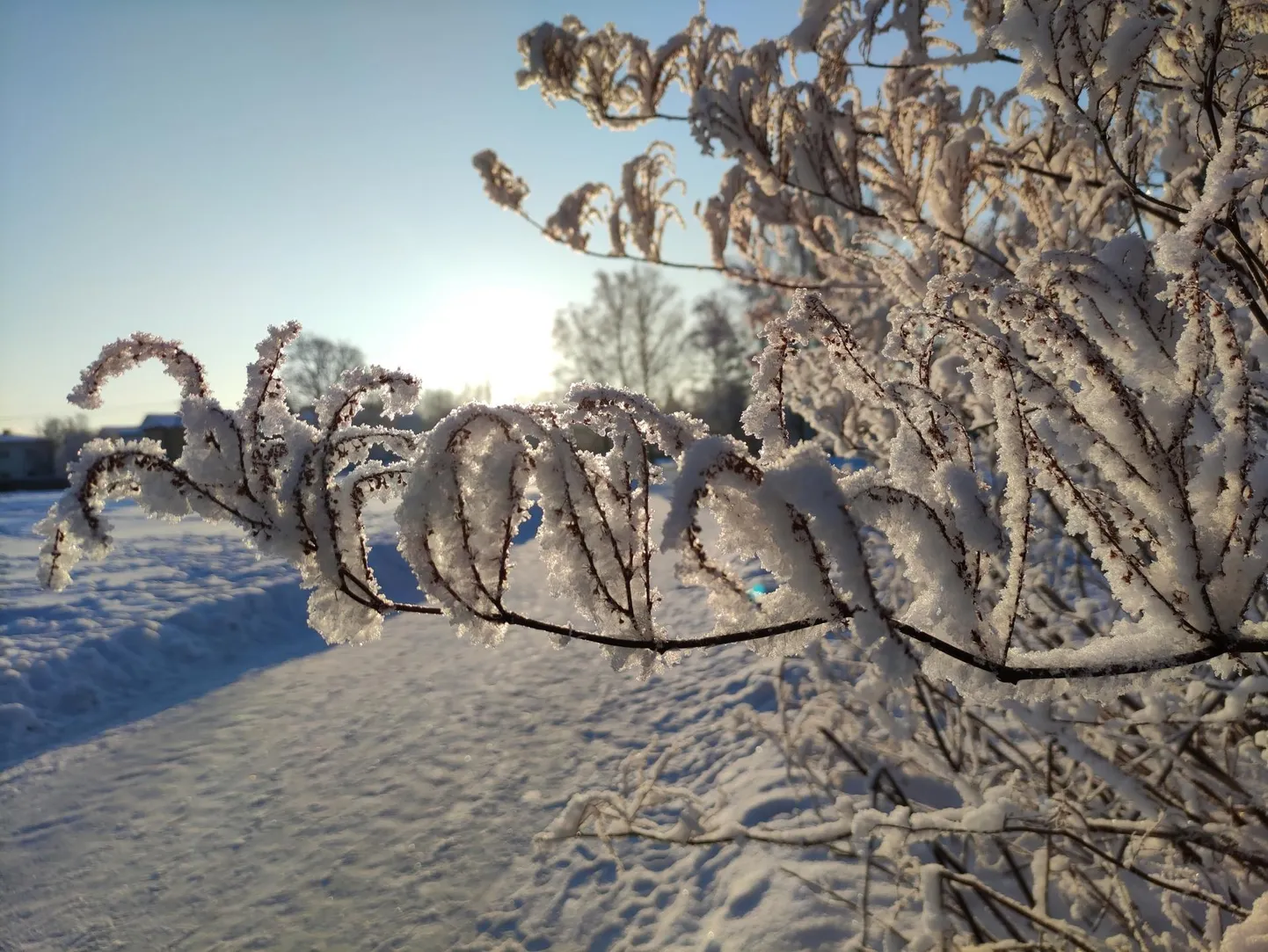 Veebruar algas selle talve uue külmarekordiga