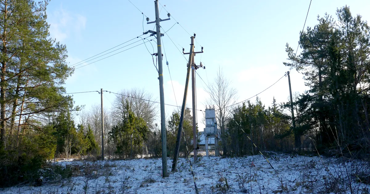 Metsafirma soovib, et võrguehitaja maksaks mahavõetud puud kinni