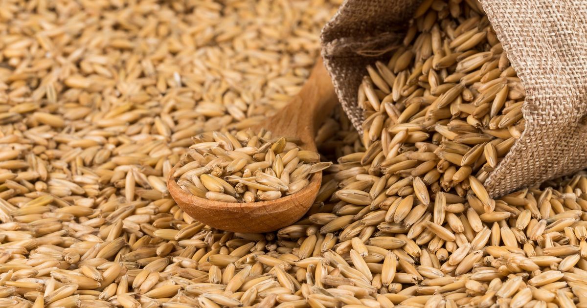 Viikingite menüü koosnes peamiselt lihast ja pudrust, kuid neil oli ka ...