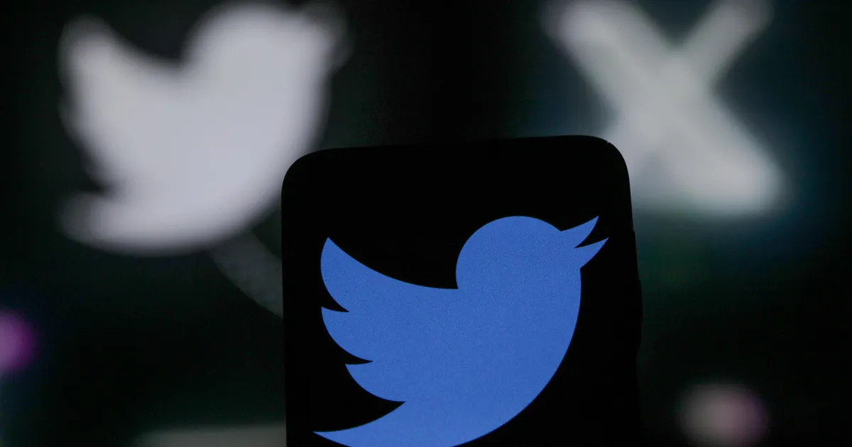 ANNA-MARIA SEPP Kas linnukese surmast saab viimane nael Twitteri kirstus?