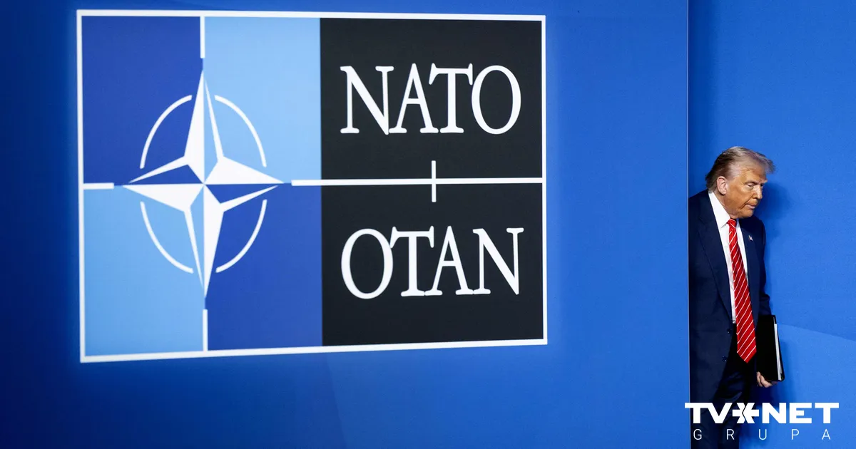 Bijušais "Azov" štāba priekšnieks: dalība NATO Ukrainai neko negarantē