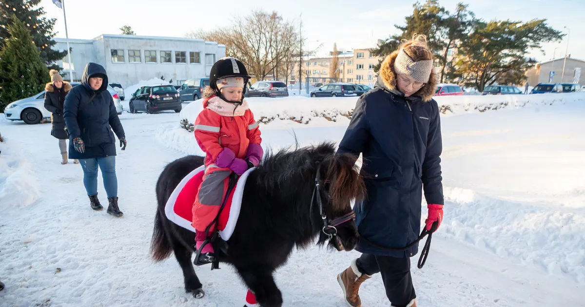 FOTOGALERII Vaata, mis melu käis Salme jõululaadal