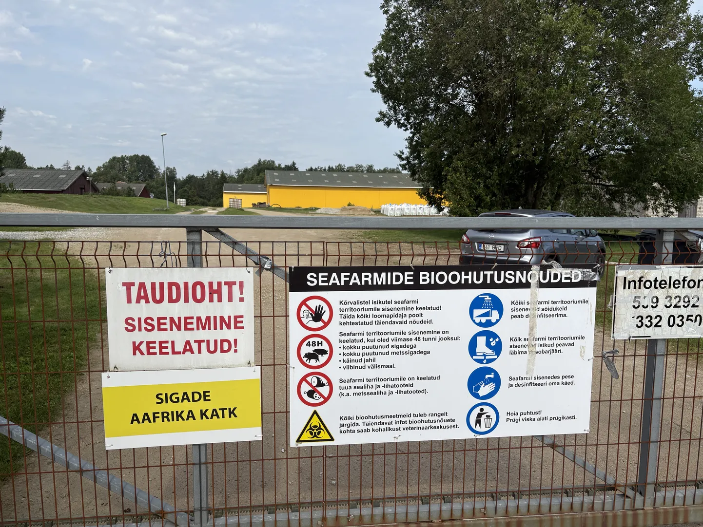 African swine fever crippling Estonian meat producers