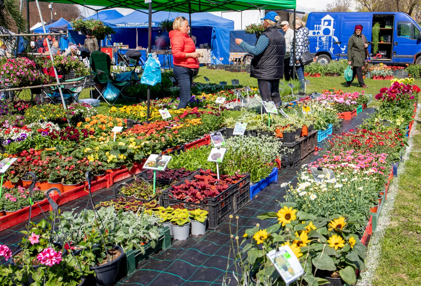 Pärnu ja Pärnumaa üritused reedel, 10. mail