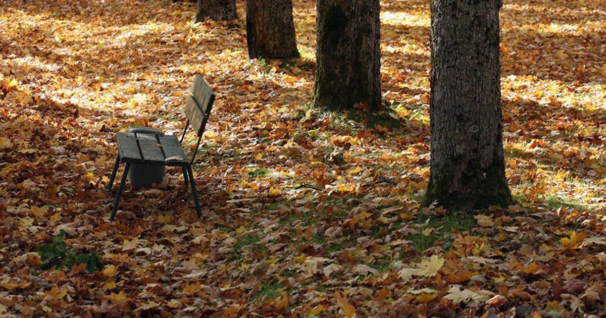 Puulehed on kõige targem kompostiks teha