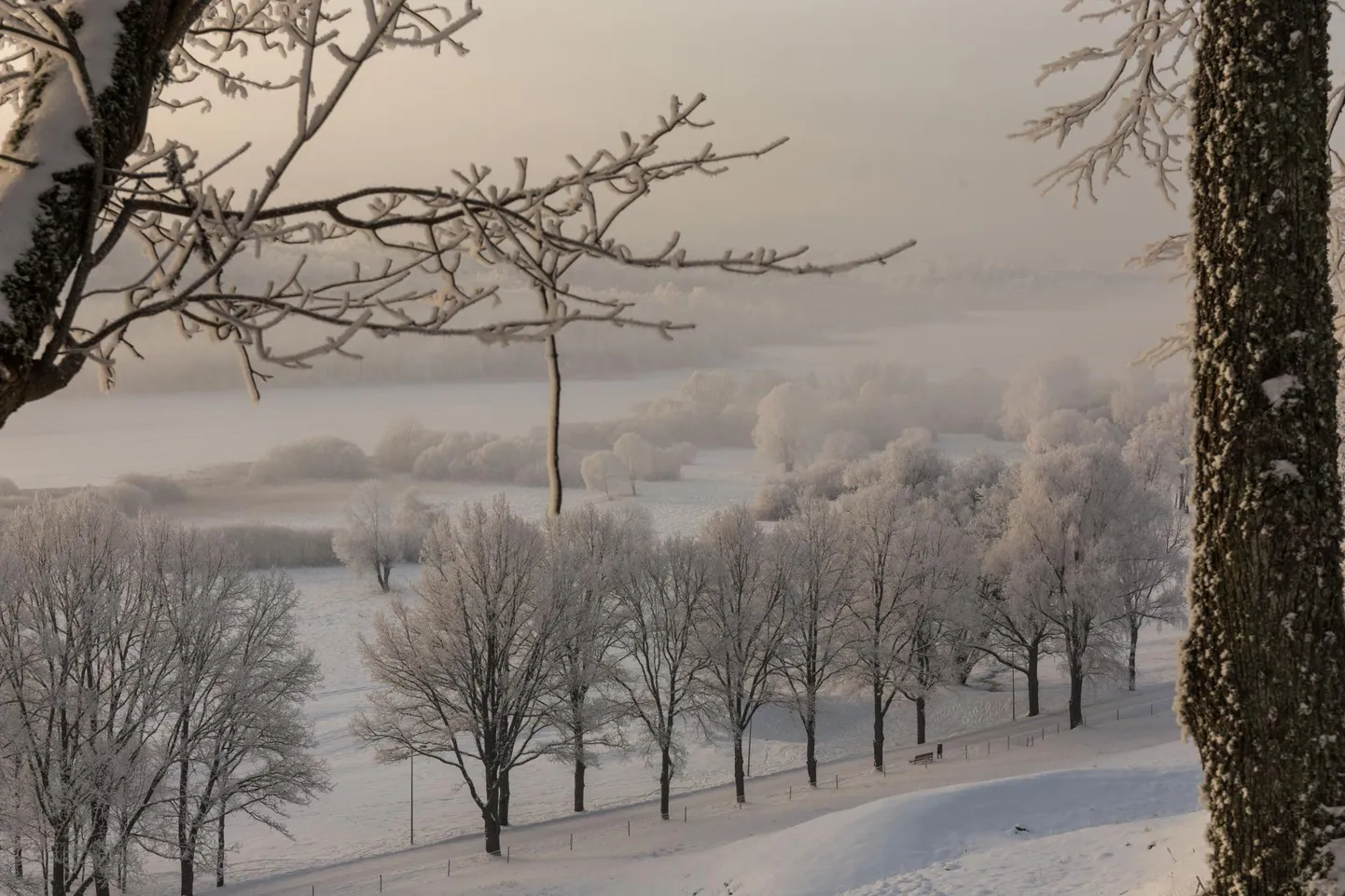 Esimesel jõulupühal valitseb karge talveilm