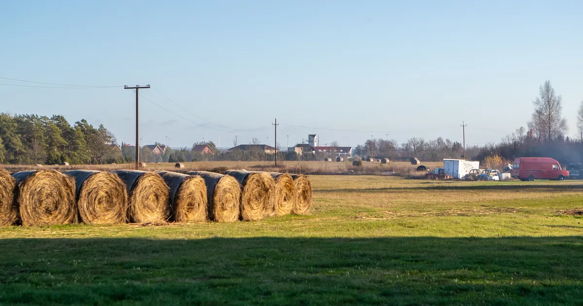 REPORTAAŽ Kuivastu on imeilus küla, mitte lihtsalt sadam Muhumaal