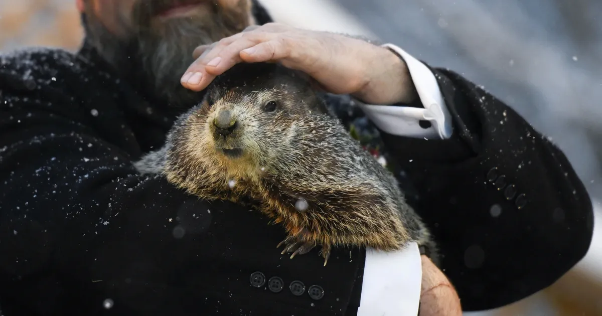 PILDID JA VIDEO Metsümiseja ennustas, et põhjapoolkeral kestab talv ...