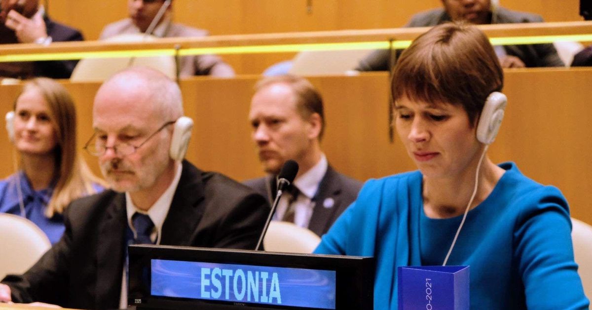 NEEME RAUD. SIIN Eesti esimene töökuu ÜRO Julgeolekunõukogus möödus ...