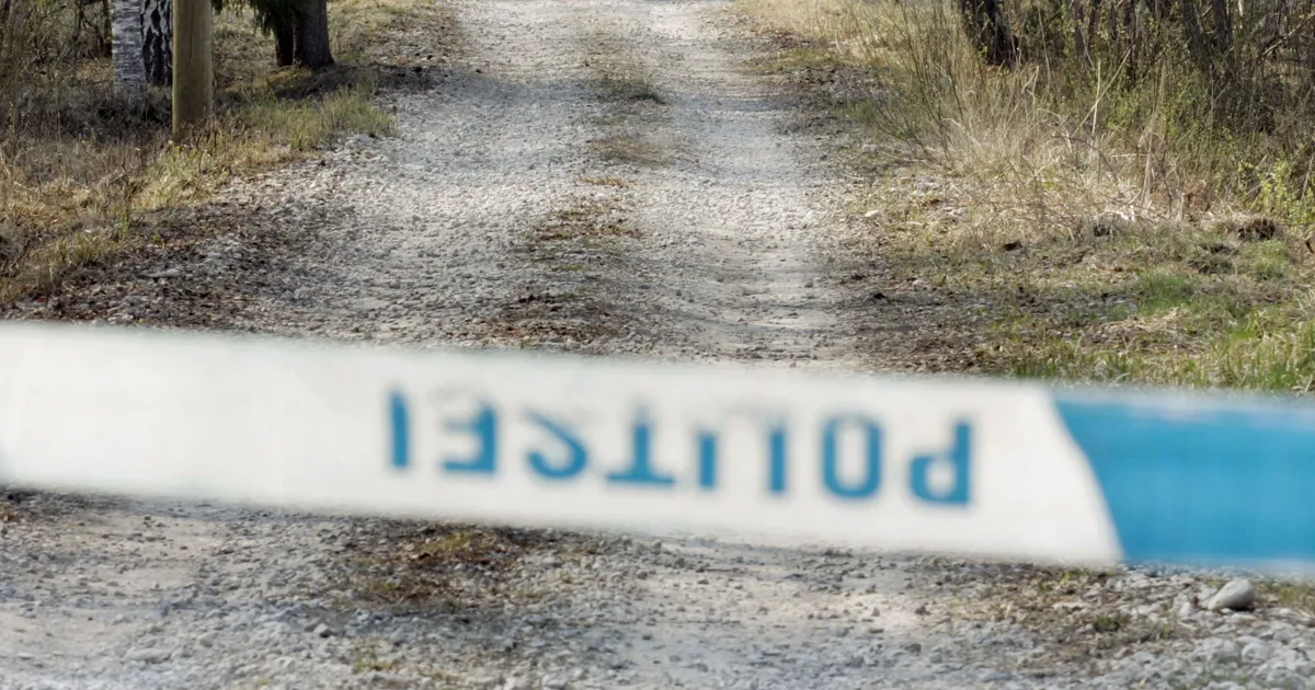 Essus tapeti vanem mees