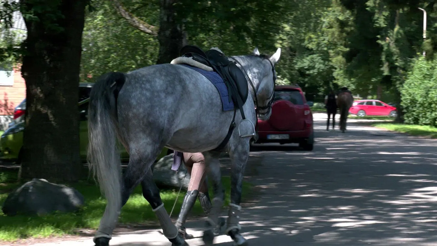 VIDEO Izglītības ministrija ierodas, lai pārņemtu Kleistu sporta bāzi ...