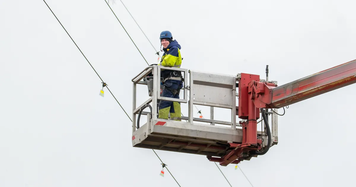 Väinatammi elektriliinidele pandi kaks tuhat linnupeletit