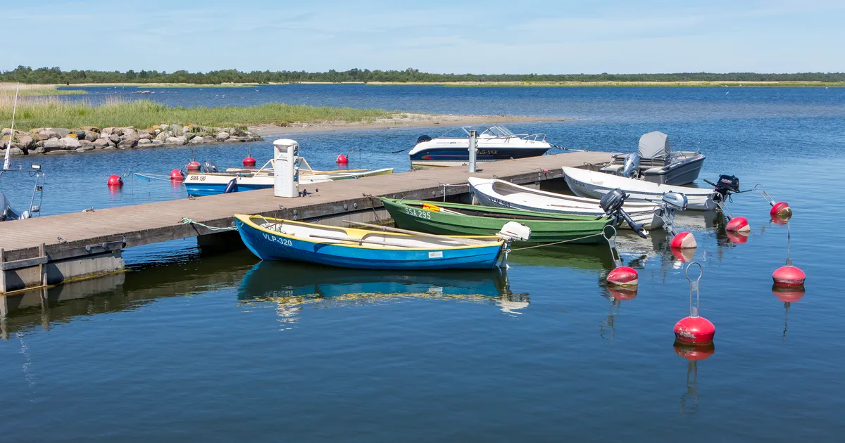 TARMO KARMA Mitte ainult salvrättidest