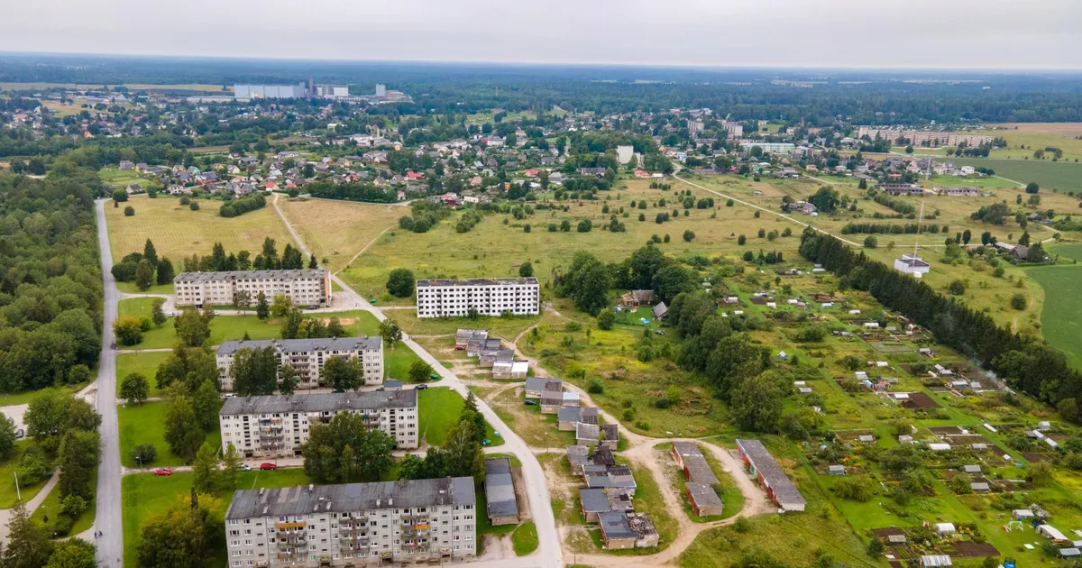 MINA ELASIN SIIN Sääse. Hämar koht, kus kasvada