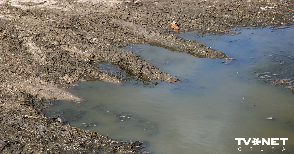 VIDEO "Šeit būs āmen!" Ogres novada seniors sašutis - īpašums applūst ...
