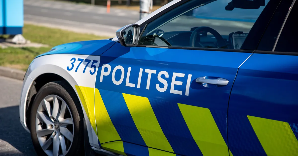 Politsei leidis16-aastase Alexi ja 15-aastase Kevini