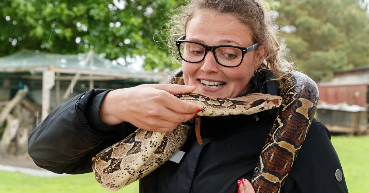 «Hirmurühma» saates osalenu ületab oma hirme iga päev