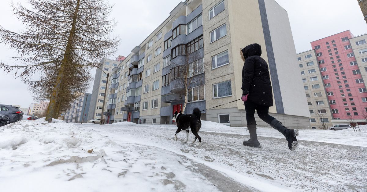 REPORTAAŽ Noarünnak Lasnamäel: «Ründaja oli väga vihane ja karjus, et ...
