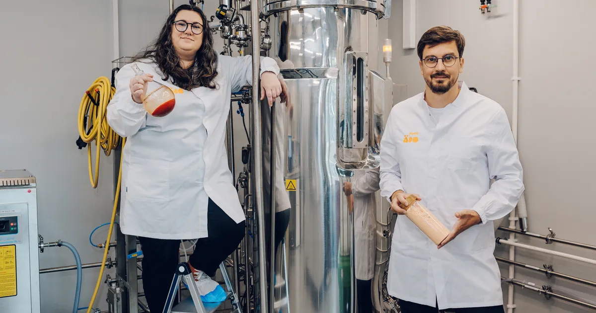 Tervislike rasvade tehas jääb Jõhvi ehitamata