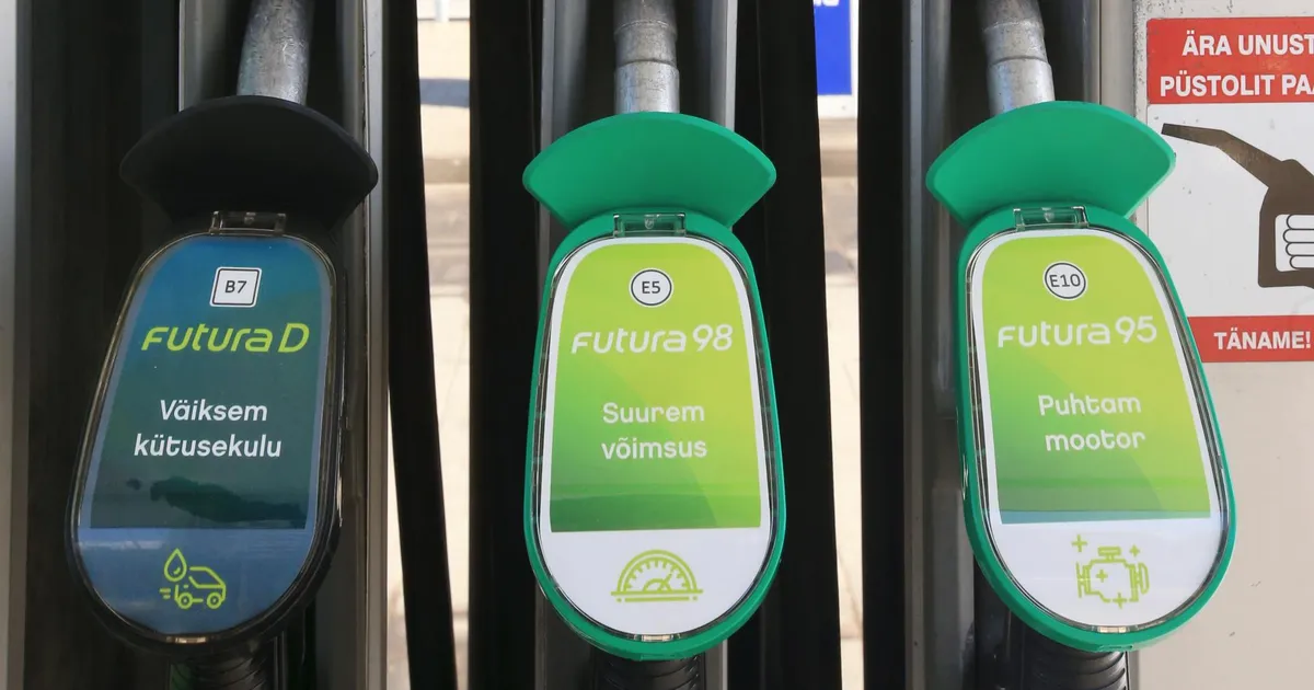 RAUNO RAUDSEPP Uus normaalsus Eestis – riik ise soosib seaduse rikkumist