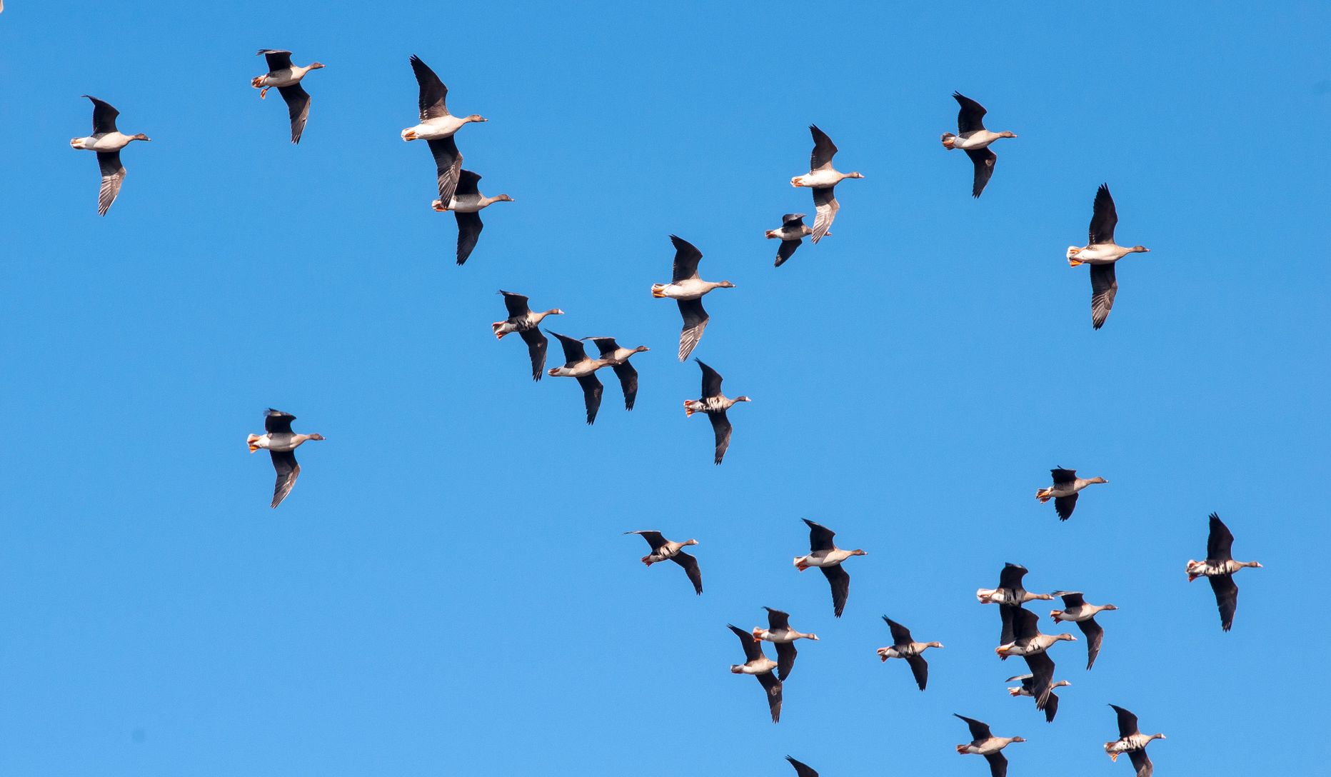 NÄDALALÕPU ILM Kohati pilvi, kohati selget taevast