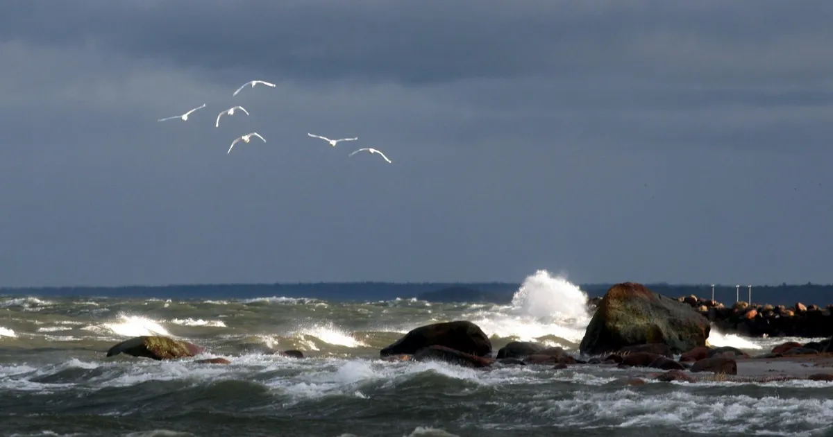 Keskkonnaagentuur hoiatab tugeva tuule eest