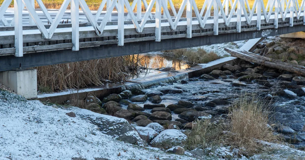 VALMAR HAAVA Üle 12 000 euro valla raha reservfondist nagu naksti!