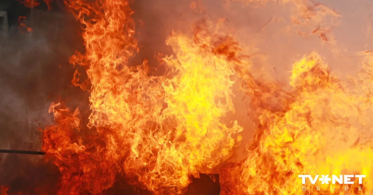 ВИДЕО В компании из трех человек выжили двое: смертельный пожар в Екабпилсе